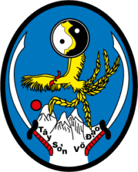 Vintage – démonstration – Tay Son Vo Dao